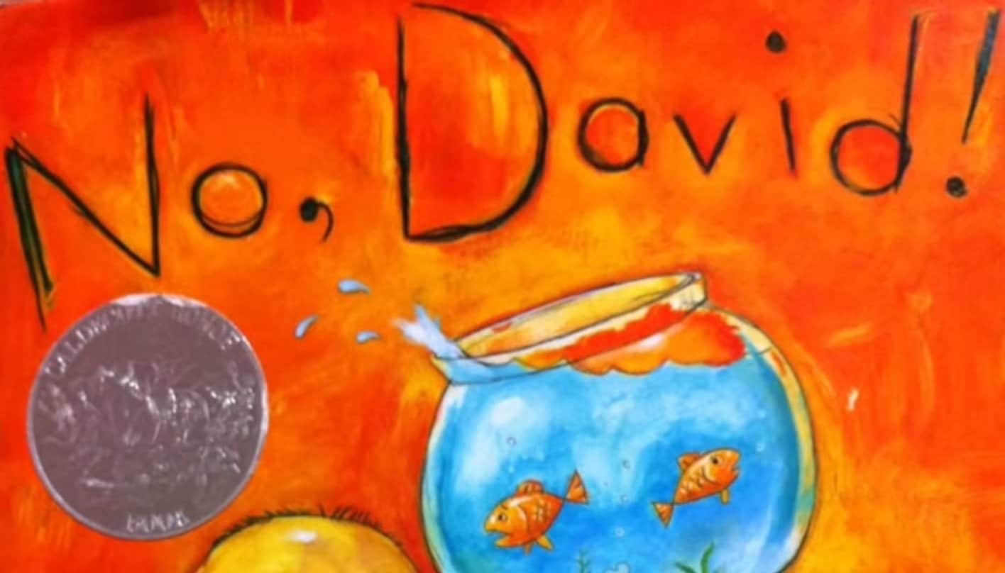No, David! by David Shannon (The original story with sound effects ...